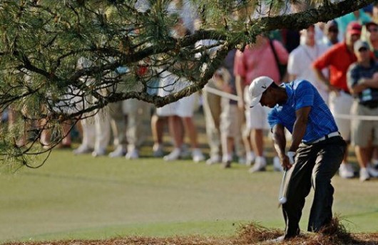 Eisenhower Tree removed from Augusta National after storm