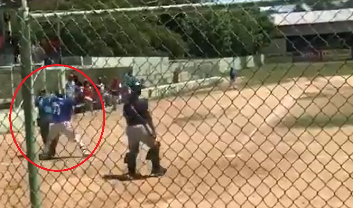 Dominican baseball player banned for life after attacking umpire with bat