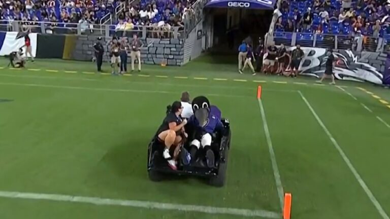 Video: Ravens' mascot suffers knee injury during halftime show