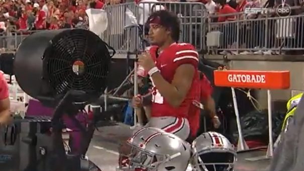 Crazy Alabama fan mom identified as Michelle Pritchett