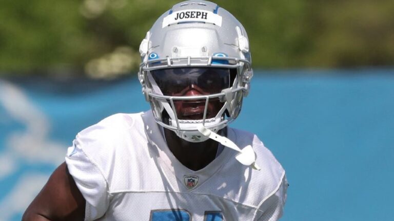 Lions defender had pettiest tweet after knocking Packers out of playoffs