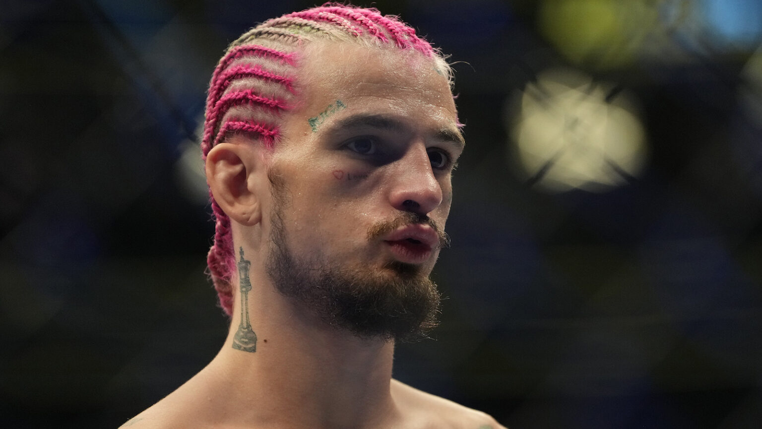 Sean O'Malley's epic KO win at UFC 292 sends Twitter into a frenzy