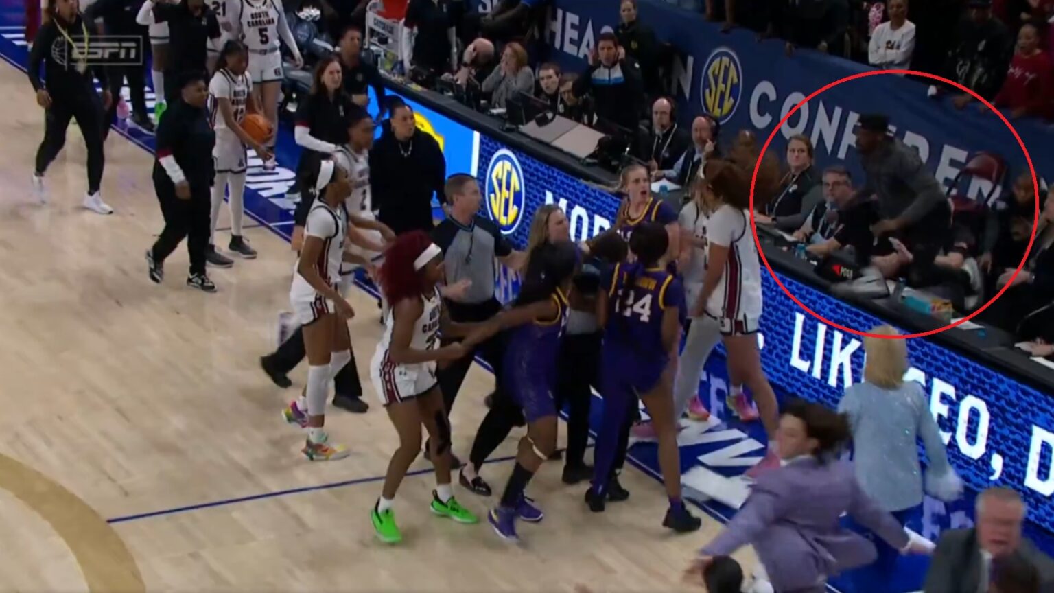 Fan arrested after wild fight between LSU and South Carolina