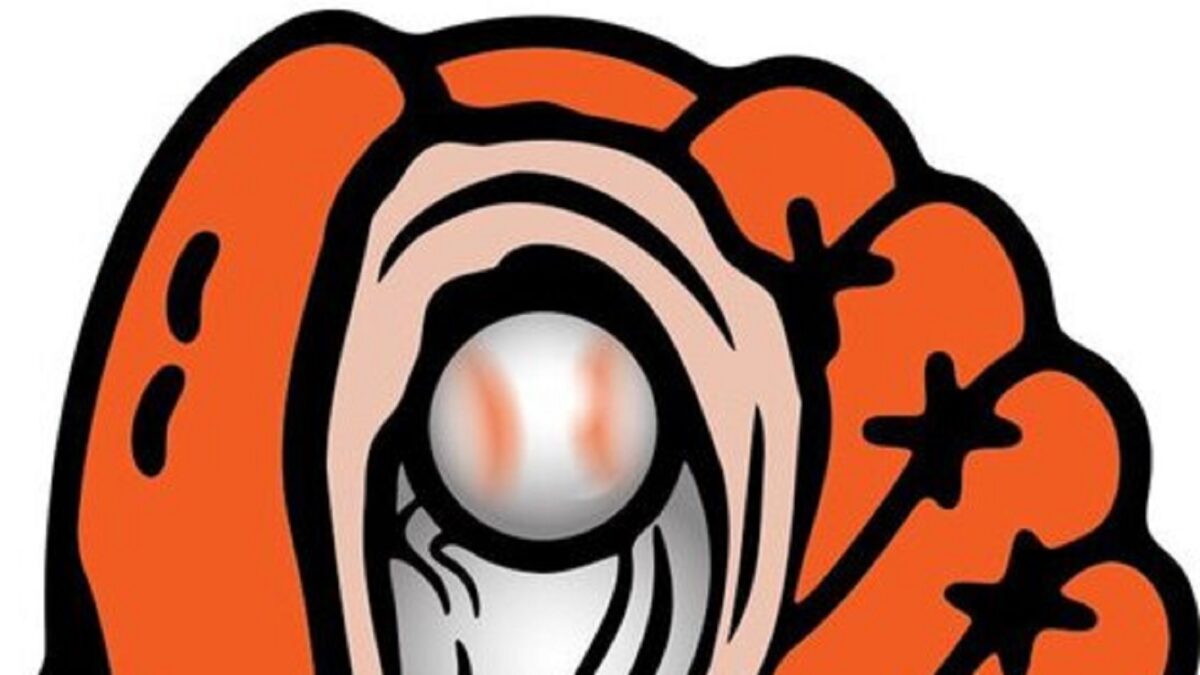 Minor-league baseball team debuts controversial new logo