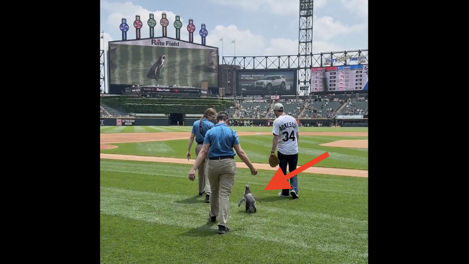Everyone made the same joke after White Sox had penguin throw out first ...