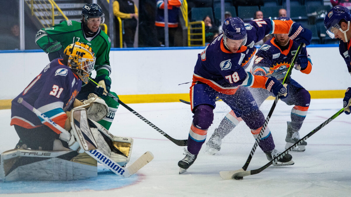 ECHL players strike forces postponement of 13 games
