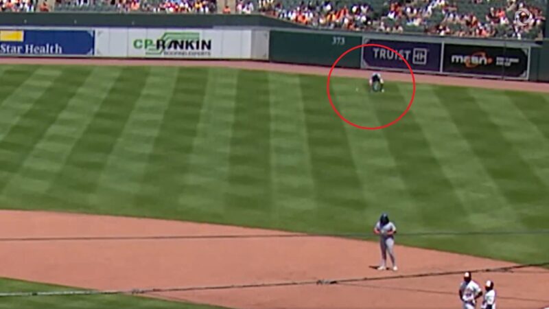 Blue Jays player leaves game with injury after getting hit by a fan's throw