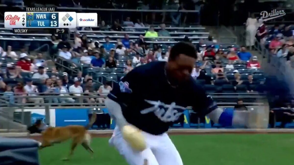 Top Dodgers prospect hurt himself avoiding the bat dog